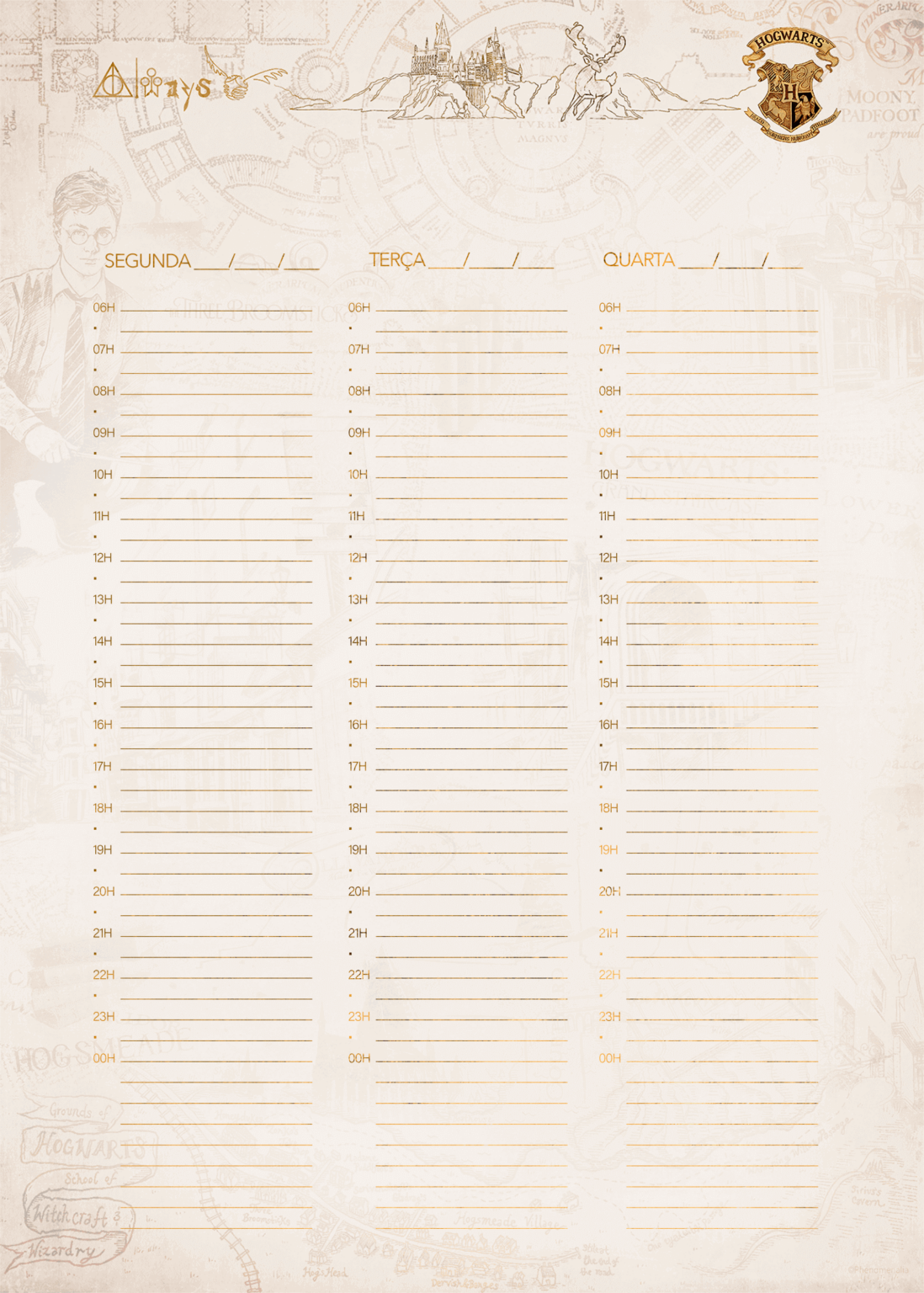 Agenda Semanal 1 Planner Harry Potter 25 - Fazendo a Nossa Festa