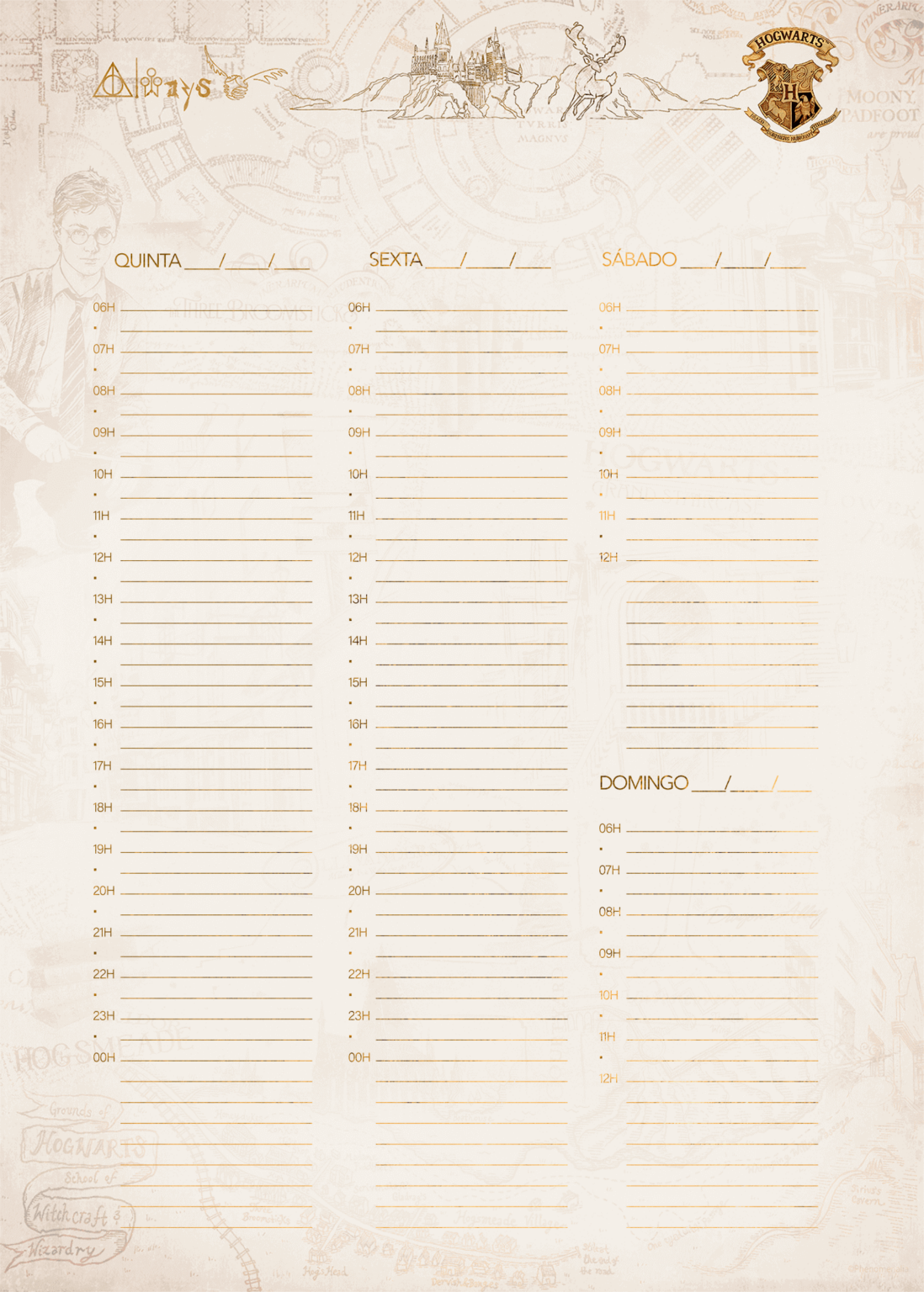 Agenda Semanal 2 Planner Harry Potter 25 - Fazendo a Nossa Festa